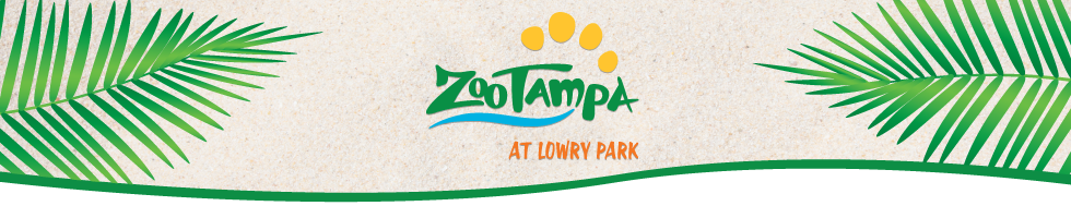 ZooTampa at Lowry Park - Donation Request Form